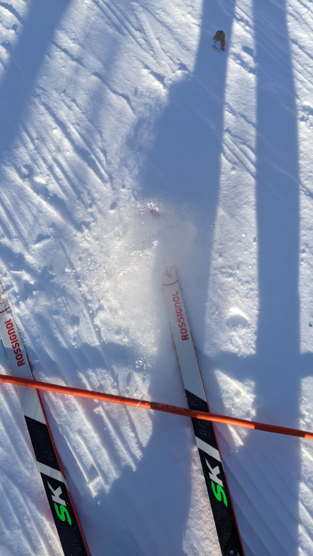 For Cross-country Skiing, Cross Your Fingers and Head North - Friends ...